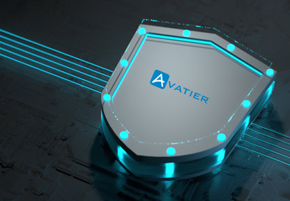 Risk Management Documentation: Identity Policies - Avatier